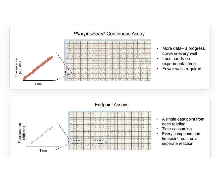 Measuring Inhibition | Continuous vs Endpoint Detection | AssayQuant